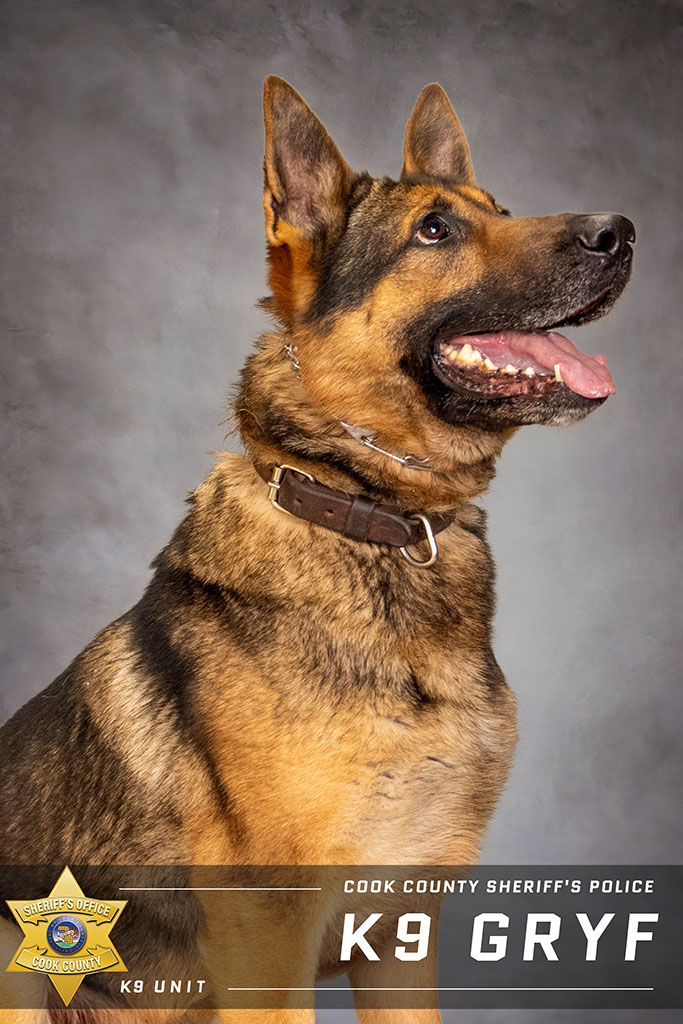 Cook County Sheriff’s K9 Unit | Cook County Sheriff's Office