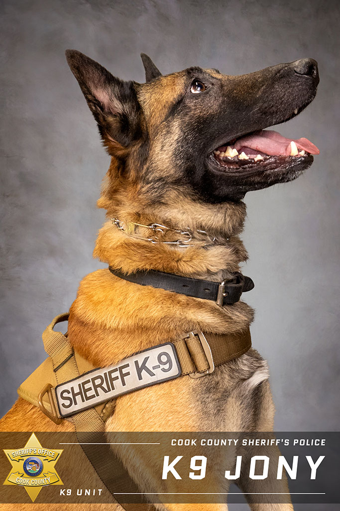 Cook County Sheriff's K9 Unit