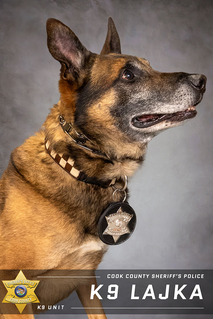 Cook County Sheriff's K9 Unit