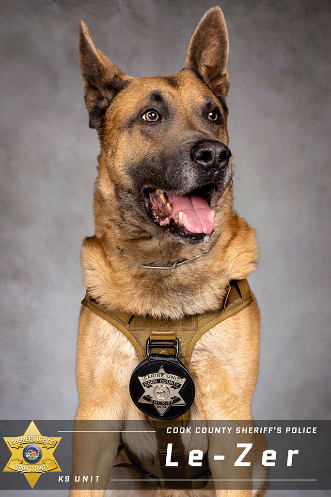 Cook County Sheriff’s K9 Unit | Cook County Sheriff's Office