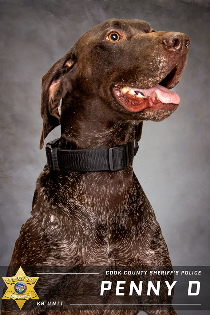 Cook County Sheriff's K9 Unit