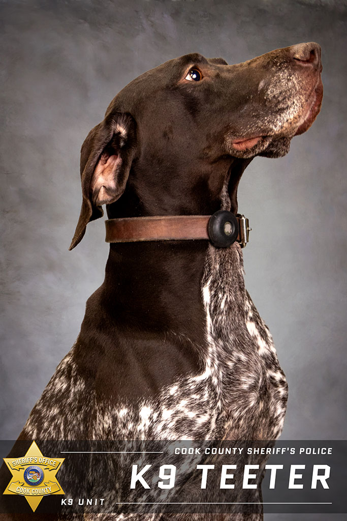 Cook County Sheriff’s K9 Unit | Cook County Sheriff's Office