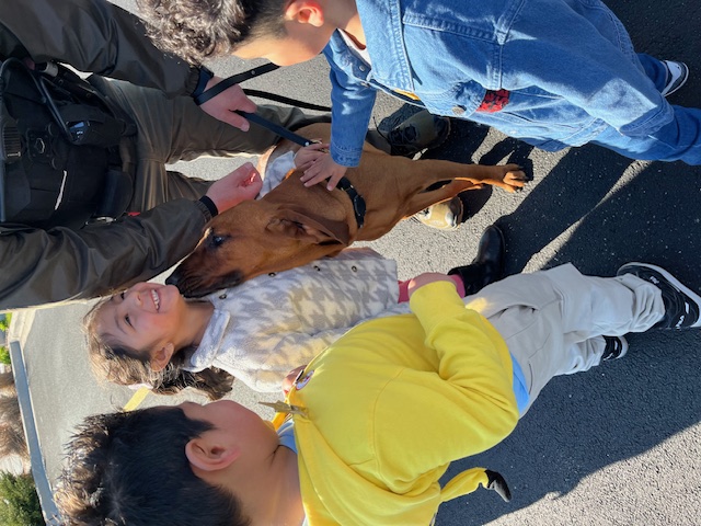 Touch a Truck event in Maine Township | Cook County Sheriff's Office