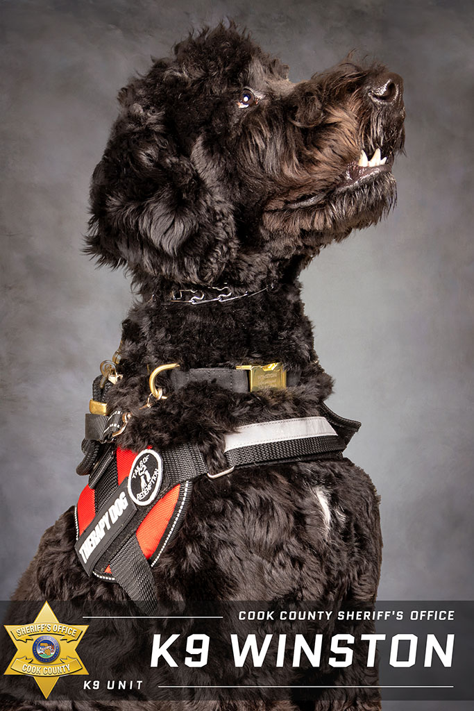 Cook County Sheriff’s K9 Unit | Cook County Sheriff's Office
