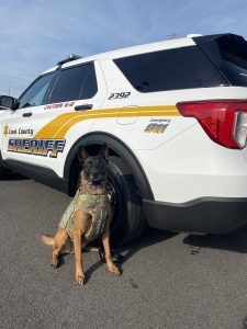 Cook County Sheriff’s Police K9 Aris Receives Donation of Body Armor